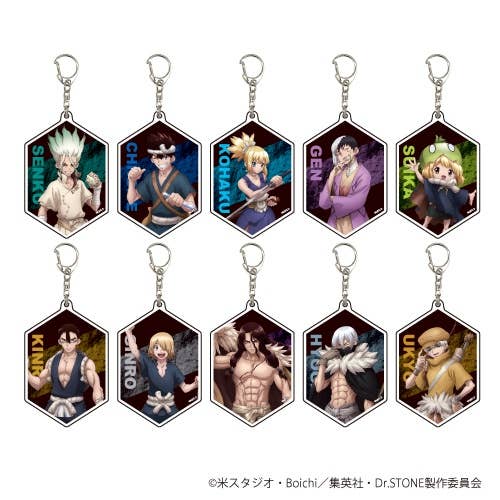 Dr. Stone: Acrylic Keychain Vol.02: 1Box (10pcs) | HLJ.com