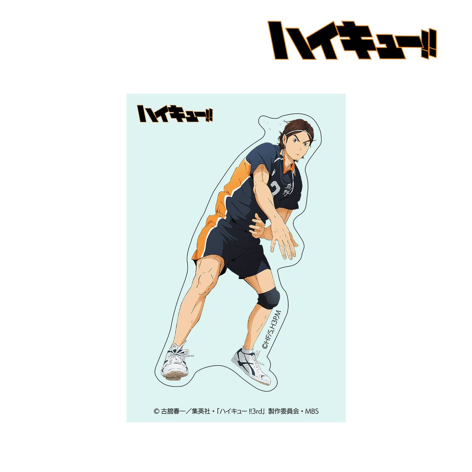 Haikyu!!: Asahi Azumane Wall Sticker | HLJ.com