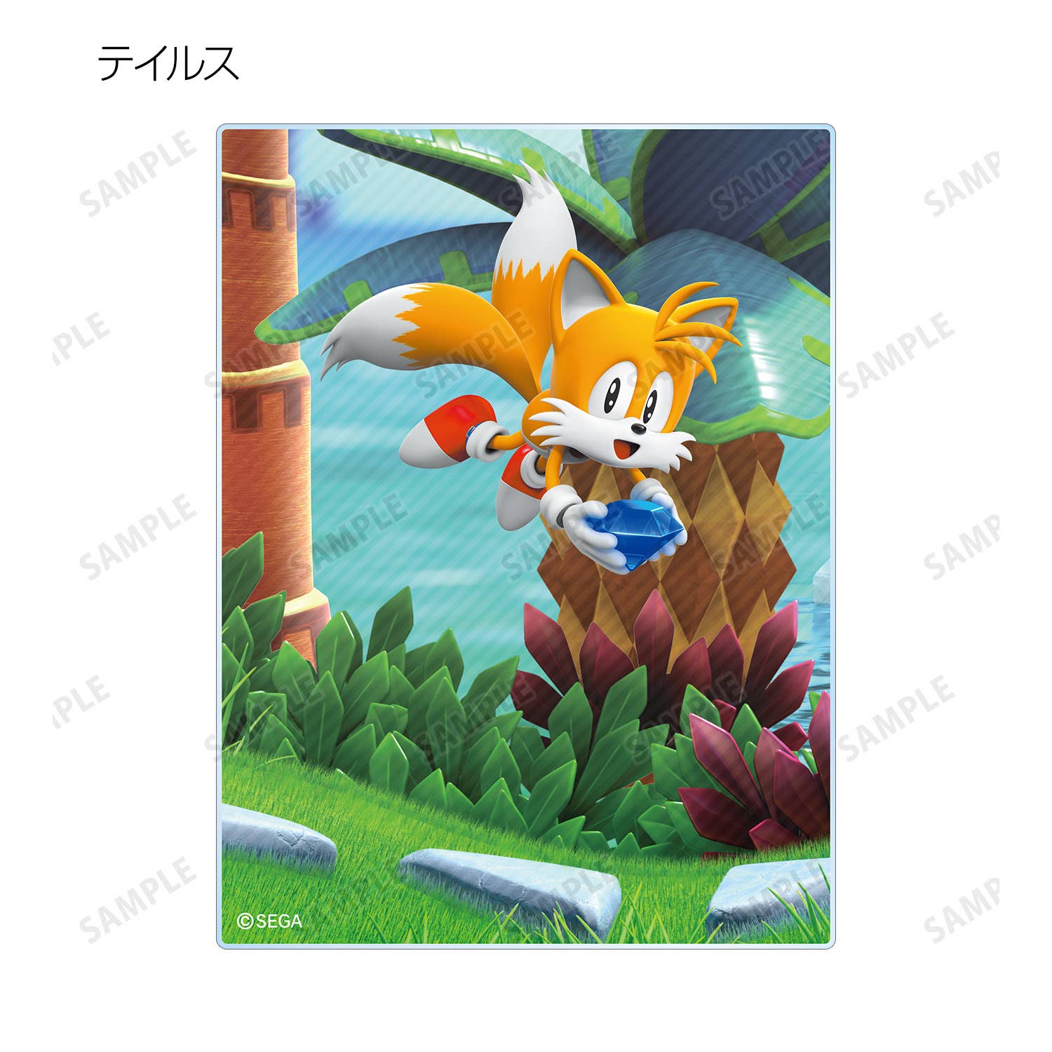 Sonic the Hedgehog : Trading Acrylic Card 1BOX10Pcs | HLJ.com