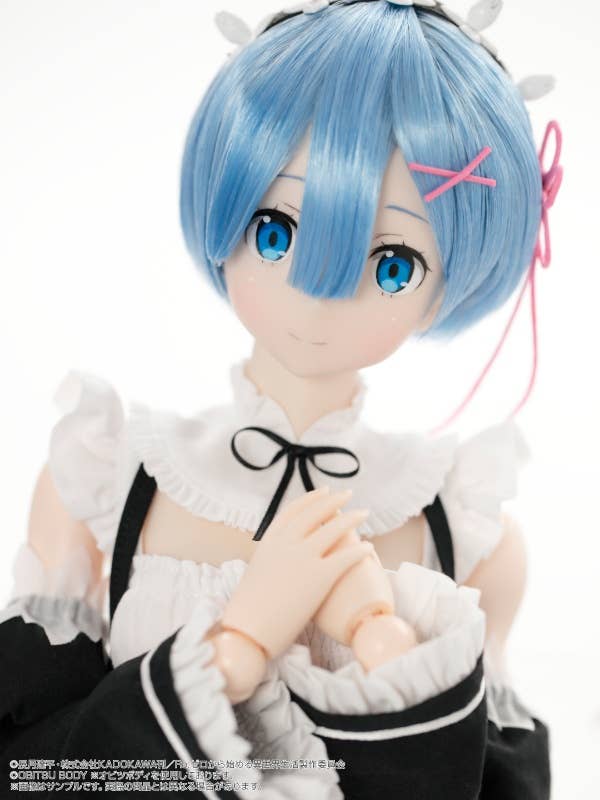 Re:ZERO -Starting Life in Another World-: Rem (Obitsu 50cm/AZO2 Body ...