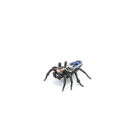Ikimono Encyclopedia Kabutomushi Peacock Spider: 1Box (4pcs) | HLJ.com