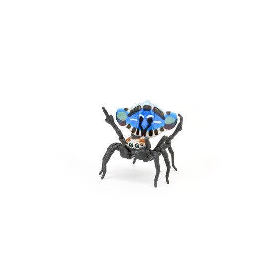 Ikimono Encyclopedia Kabutomushi Peacock Spider: 1Box (4pcs) | HLJ.com