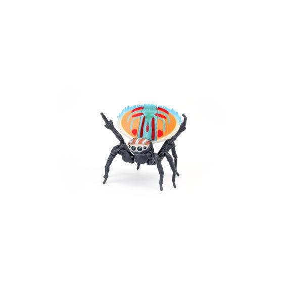 Ikimono Encyclopedia Kabutomushi Peacock Spider: 1Box (4pcs) | HLJ.com
