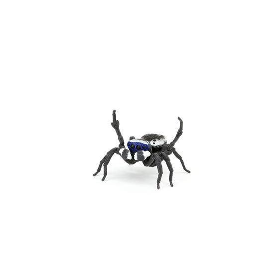 Ikimono Encyclopedia Kabutomushi Peacock Spider: 1Box (4pcs) | HLJ.com