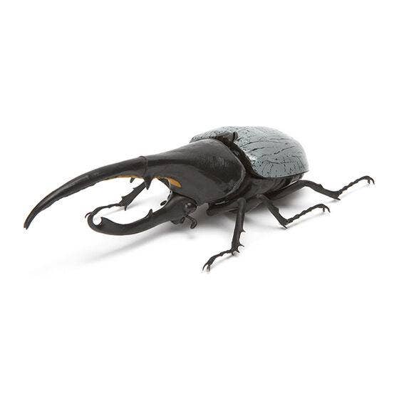 Ikimono Encyclopedia Kabutomushi 02: 1Box (4pcs) | HLJ.com