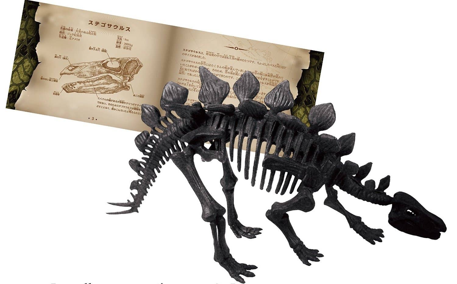 3D Dinosaur Puzzle: Stegosaurus | HLJ.com