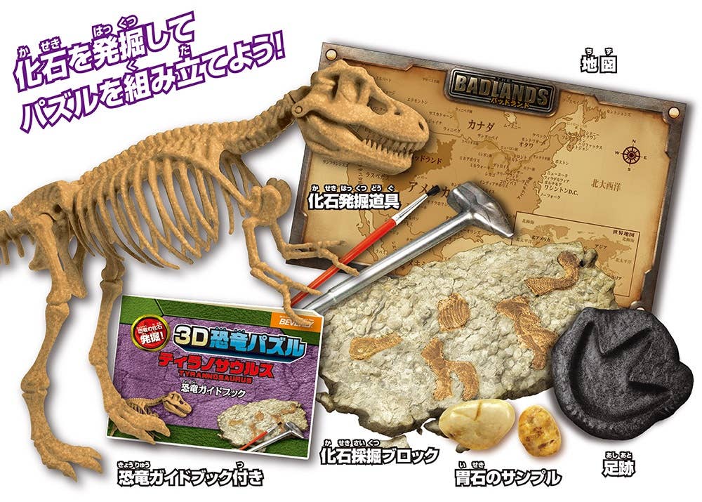 3D Dinosaur Puzzle: Fossil Excavation Tyrannosaurus | HLJ.com