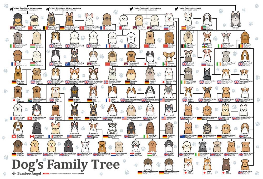 Dog Family Tree 1000pcs 72 x 49cm | HLJ.com