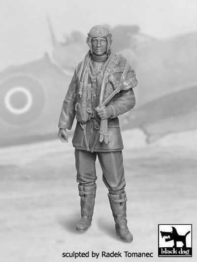 RAF fighter pilot 1940-1945 No.1 | HLJ.com
