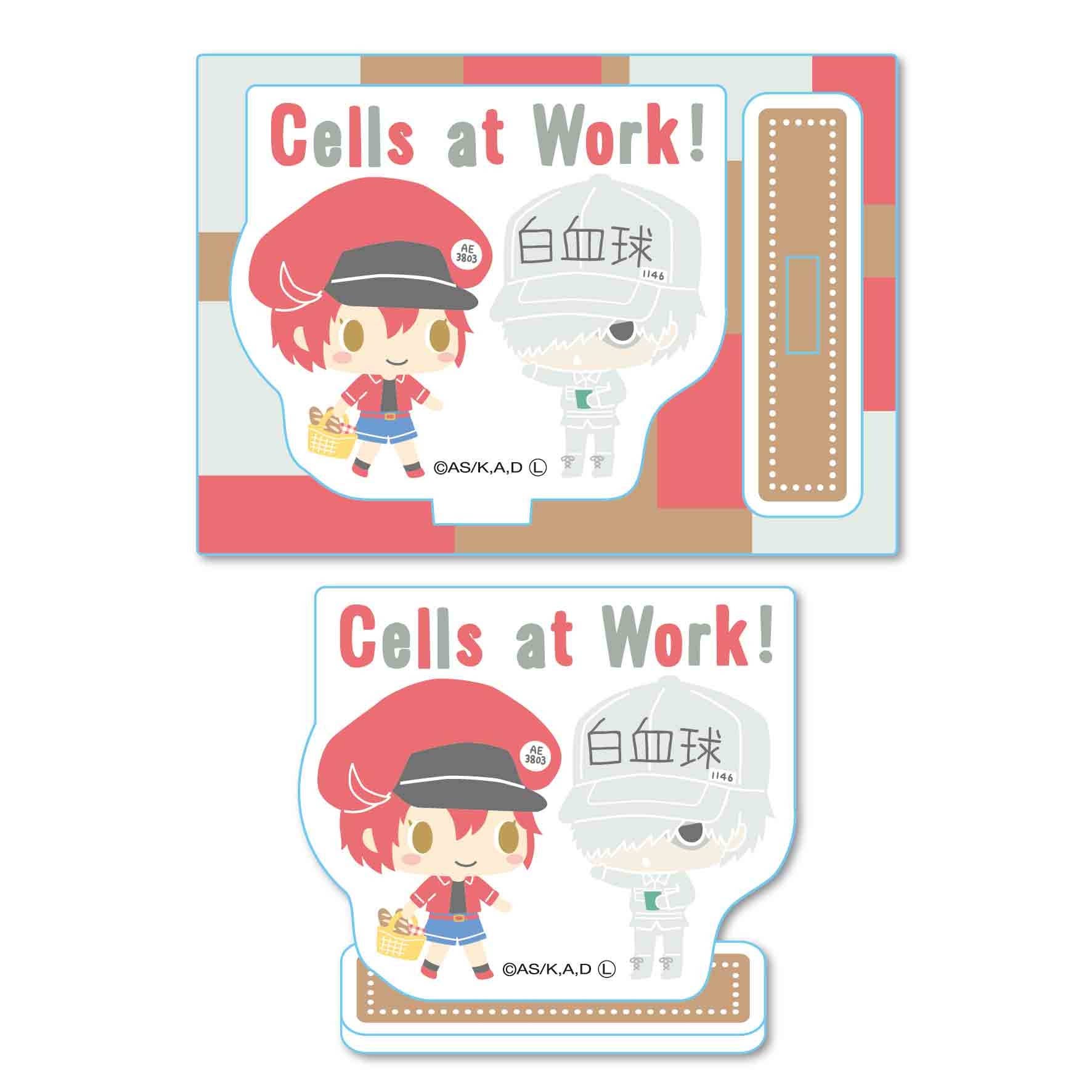 Mini Stand Cells at Work! -Design Produced by Sanrio-: Red Blood Cell ...