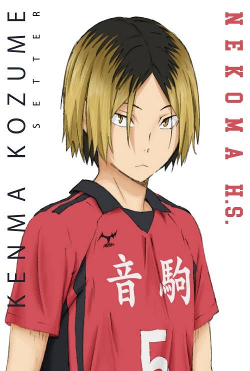 Rakuwa Neck X50 Haikyu!! Model Nekoma High Kenma Kozume 50cm | HLJ.com