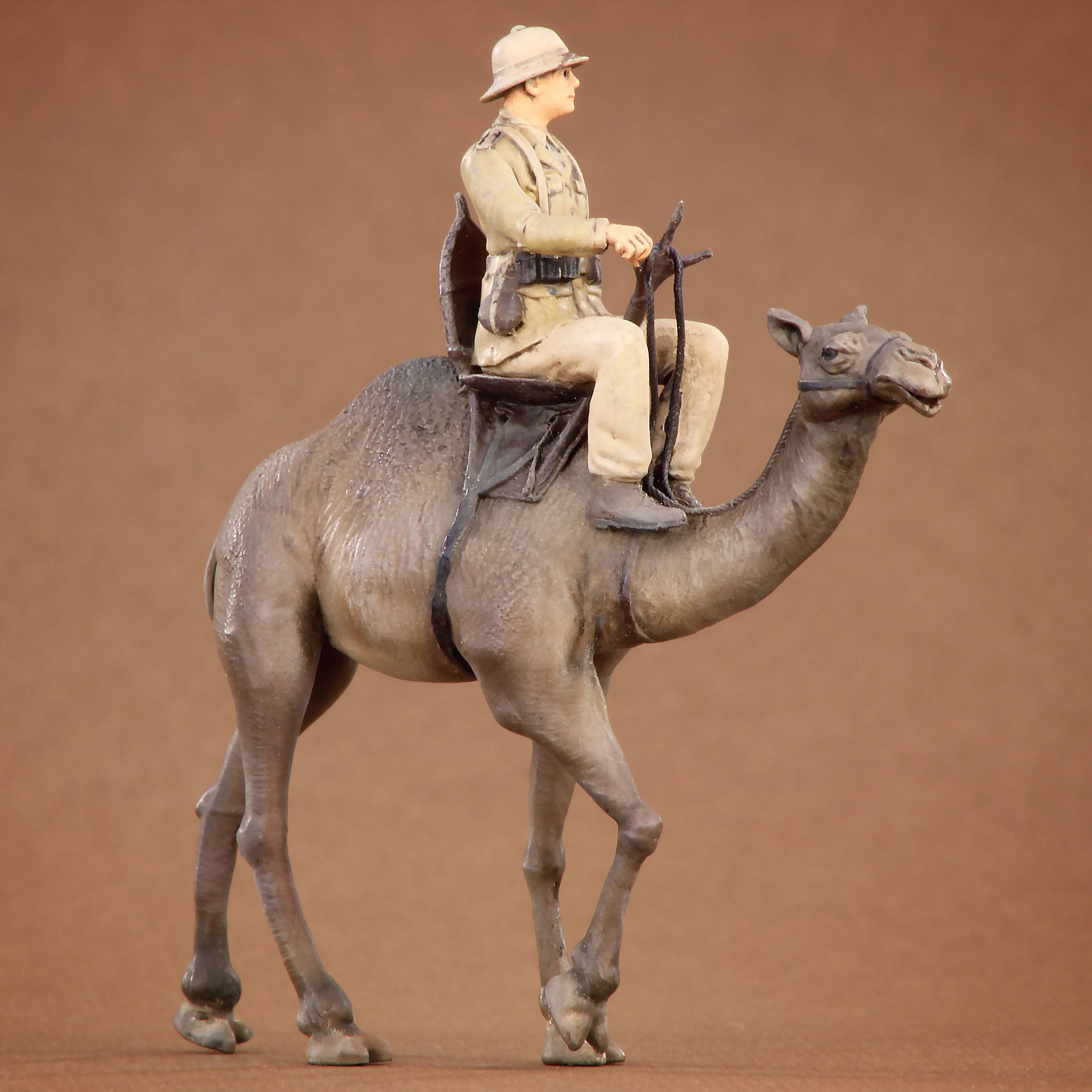 Afrikakorps Soldier Riding Camel / 3D Printed | HLJ.com