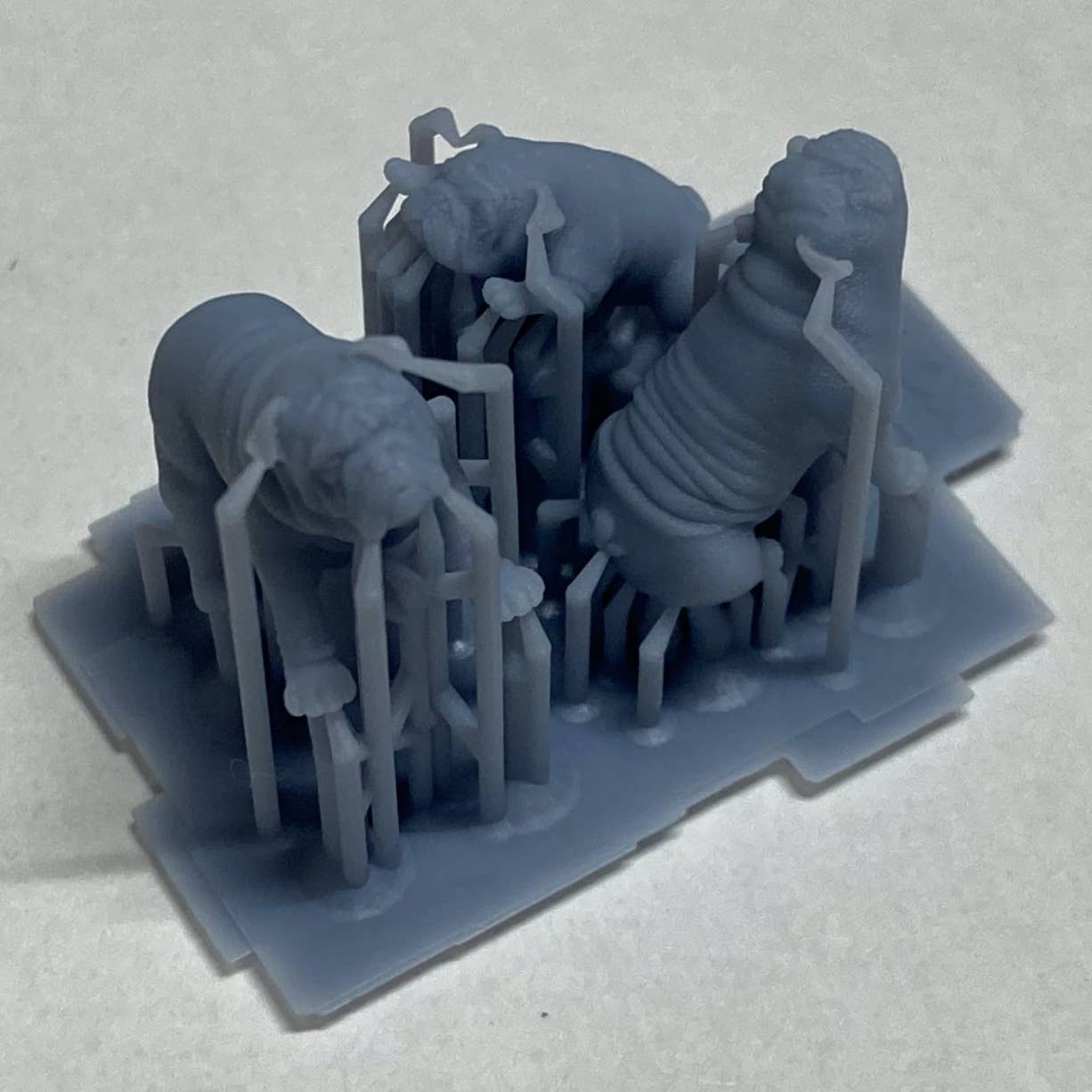 Bulldog Set | HLJ.com