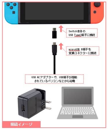 Nintendo Switch: micro USB-TypeC Conversion Connector Black | HLJ.com