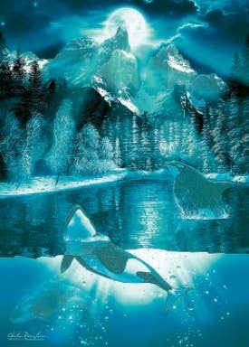 Lassen Orca Eve II 500pcs (38cm x 53cm) | HLJ.com