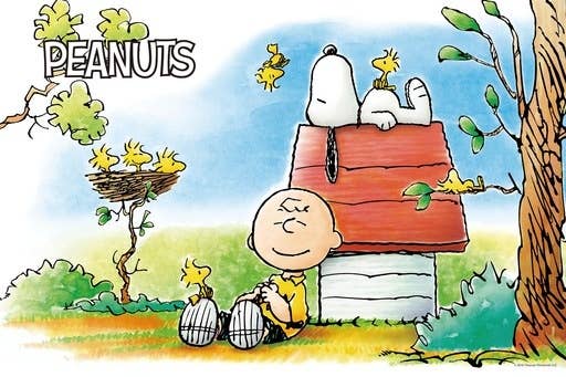 Peanuts: Snoopy Napping 1000pcs | HLJ.com