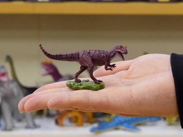 Dinosaur Mini Model: Allosaurus | HLJ.com