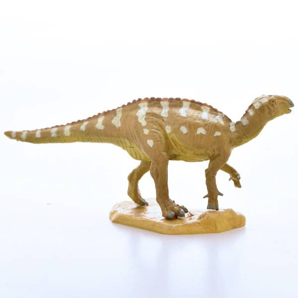 Dinosaur Koshisaurus Mini Model (FDW-214) | HLJ.com