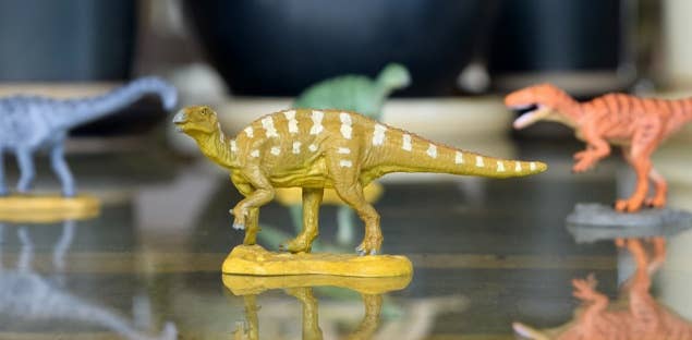 Dinosaur Koshisaurus Mini Model (FDW-214) | HLJ.com