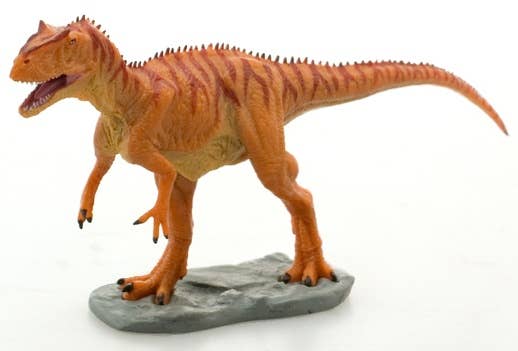 Allosaurus Soft Model | HLJ.com