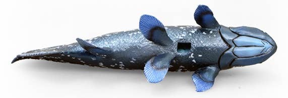 Ancient Fish: Coelacanth Soft Model | HLJ.com