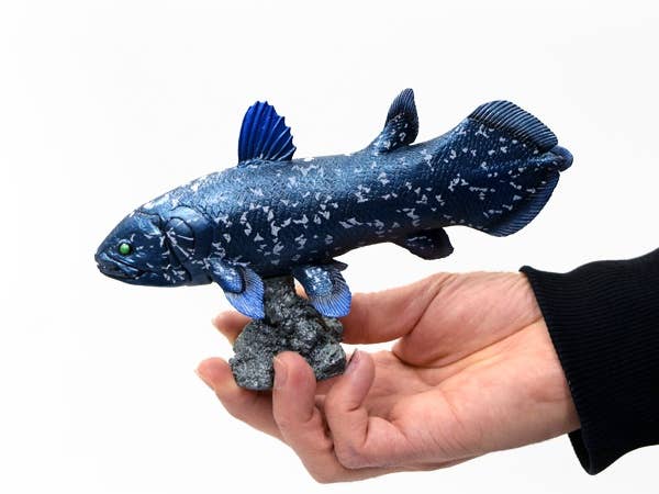 Ancient Fish: Coelacanth Soft Model | HLJ.com