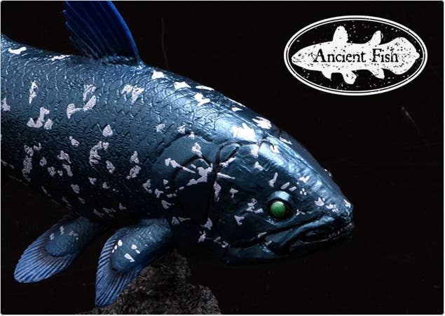 Ancient Fish: Coelacanth Soft Model | HLJ.com