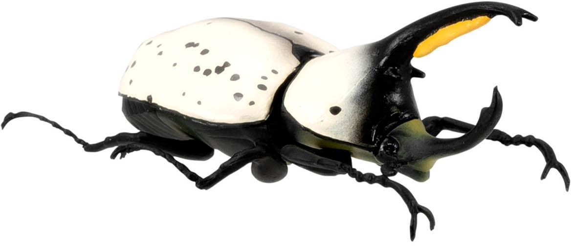 Insect Hunter: 1Box (10pcs) | HLJ.com