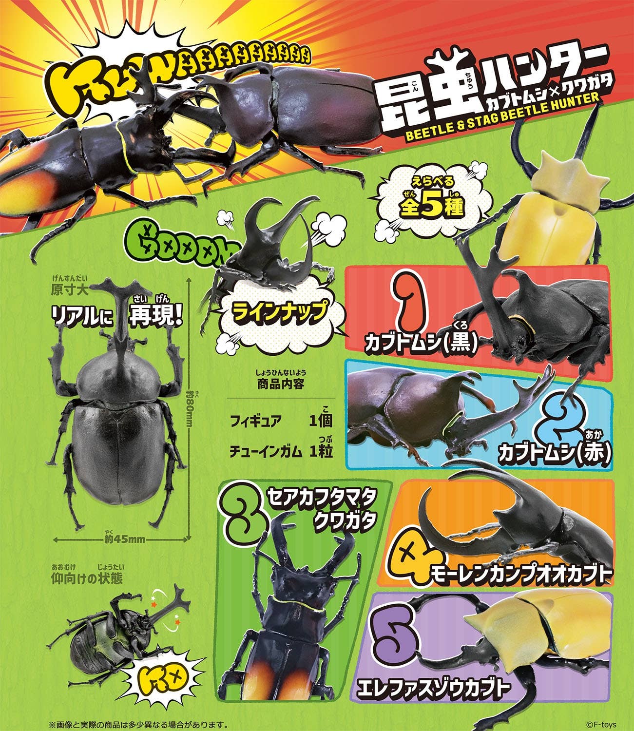 Insect Hunter Beetle x Stag Beetle 1Box (10pcs) | HLJ.com