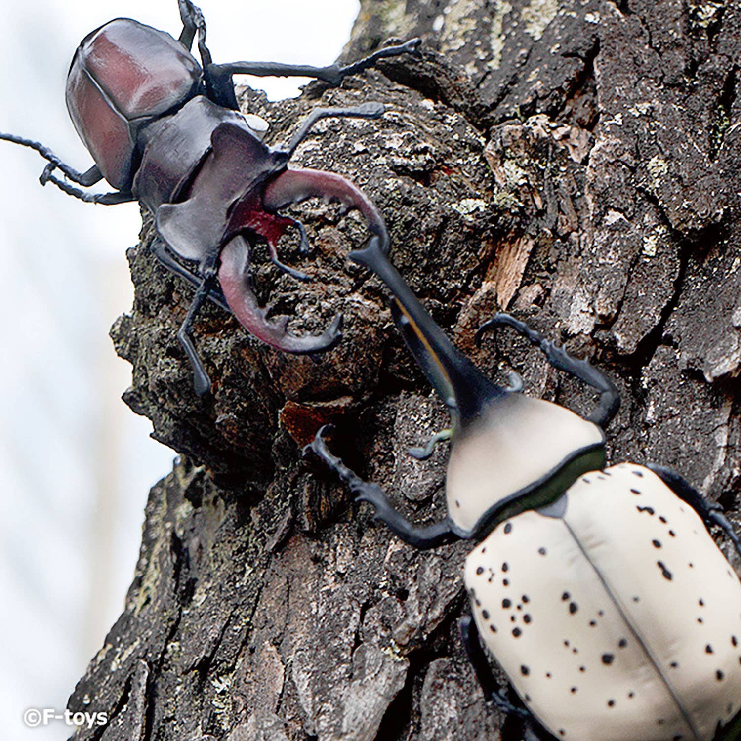 Insect Hunter 2024: 1Box (10pcs) | HLJ.com