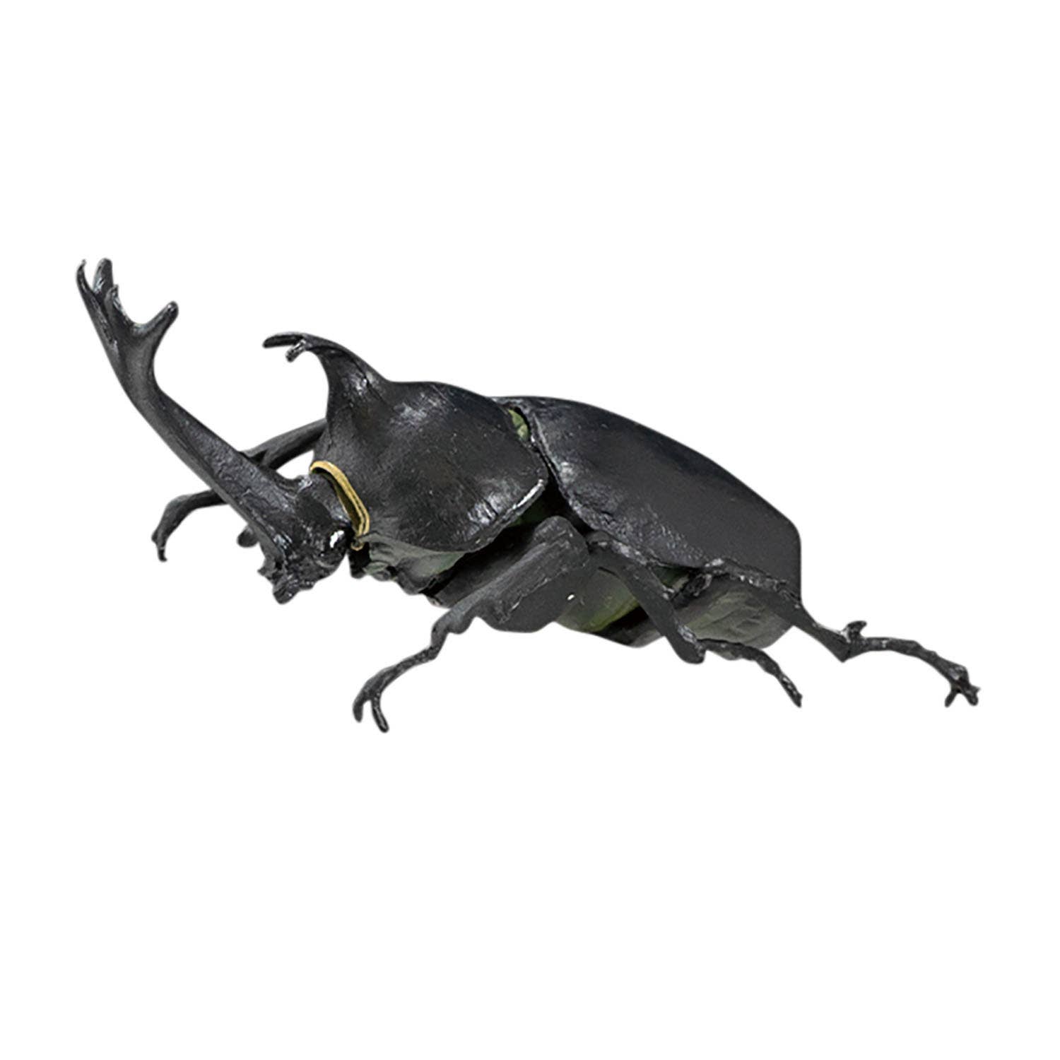 Insect Hunter 2024: 1Box (10pcs) | HLJ.com