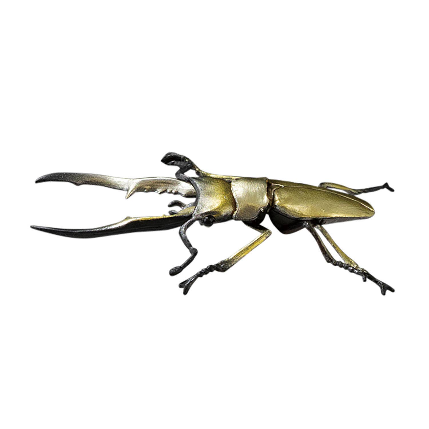 Insect Hunter 2024: 1Box (10pcs) | HLJ.com