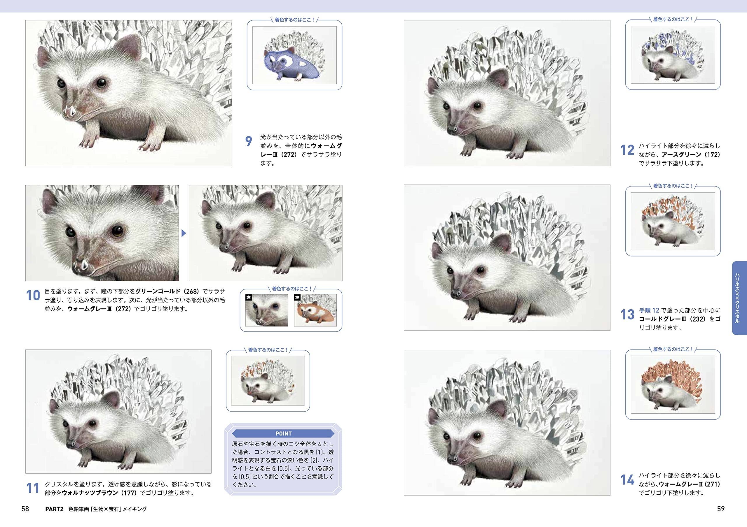 Yuichiro Abe's Colored Pencil Drawing How To Draw Creatures x Jewels | HLJ.com