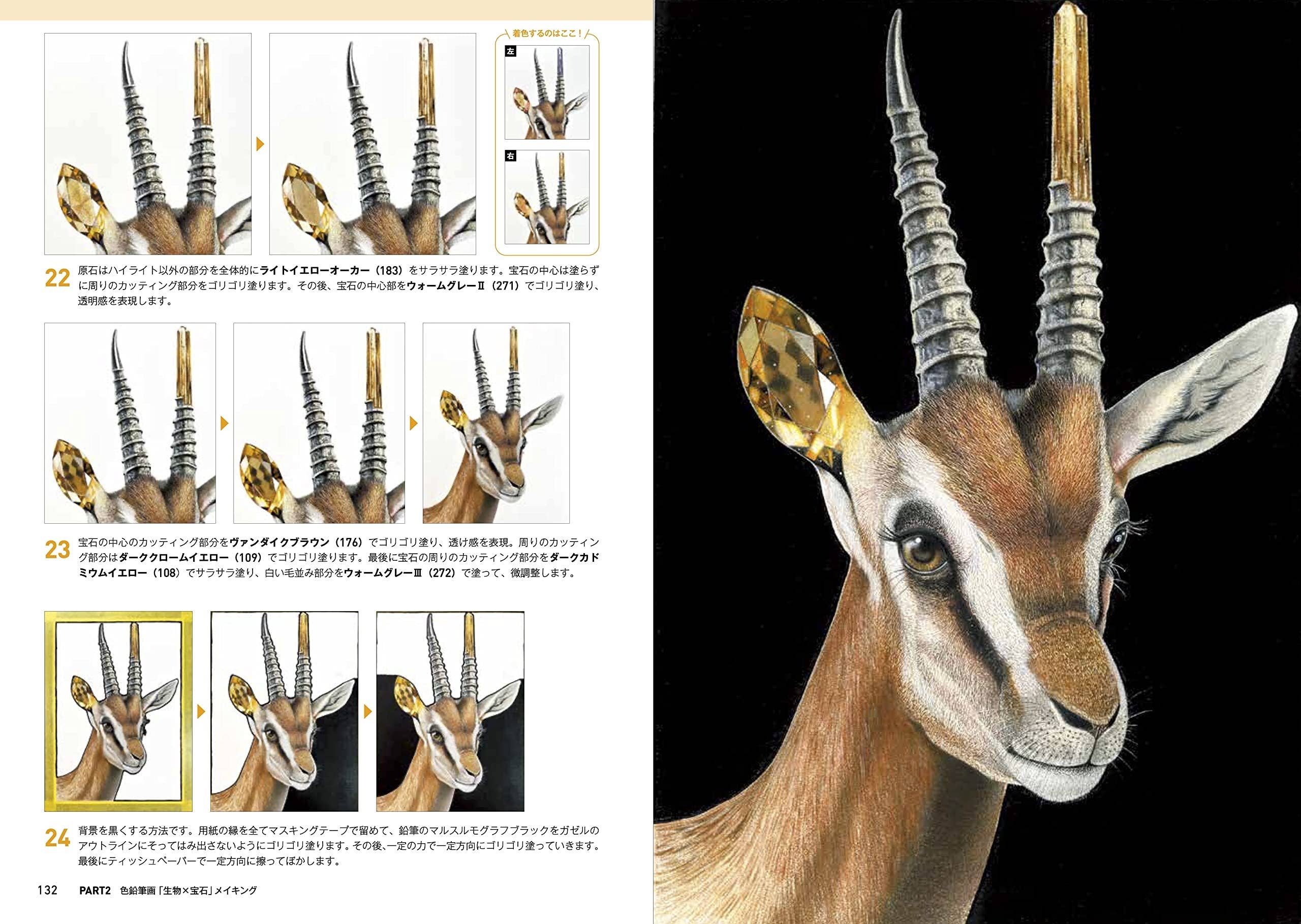 Yuichiro Abe's Colored Pencil Drawing How To Draw Creatures x Jewels ...