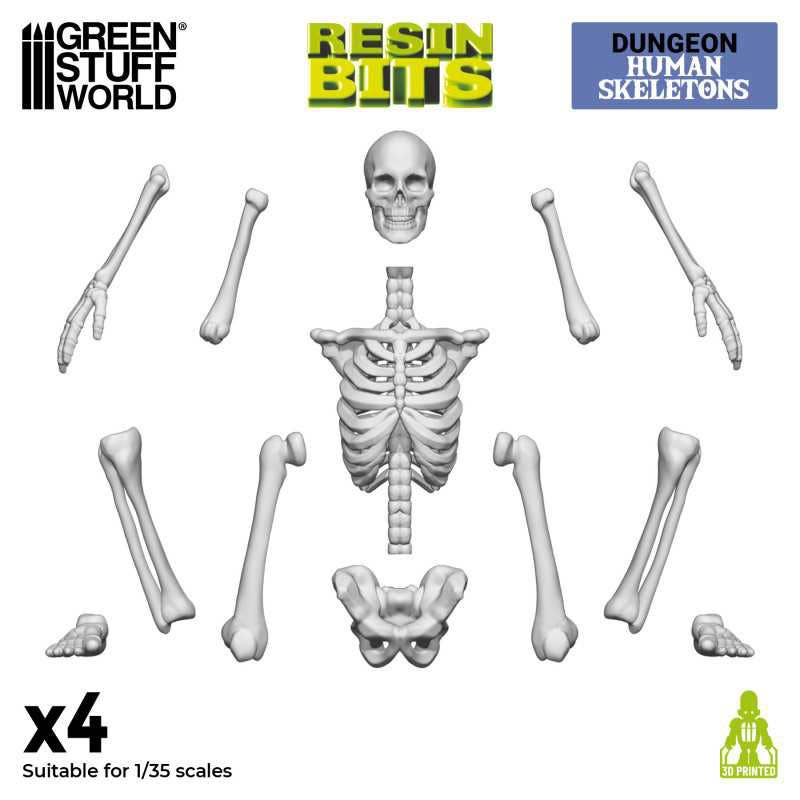 3D printed set - Positionable Human Skeletons | HLJ.com