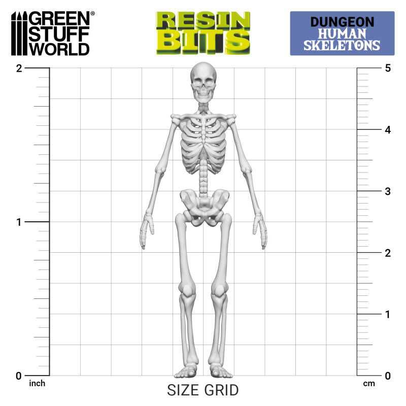3D printed set - Positionable Human Skeletons | HLJ.com