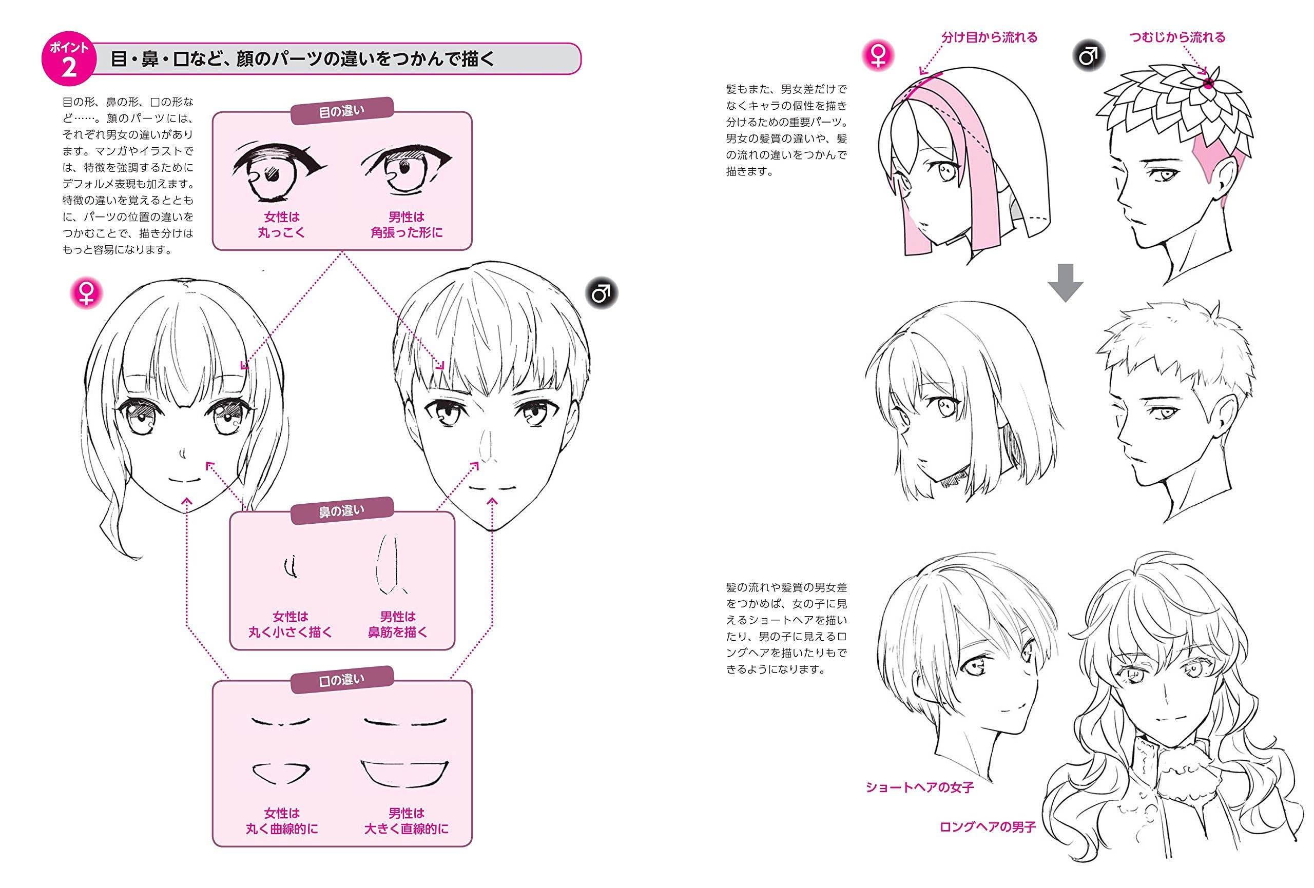 How To Draw The Differences: Men and Women of the Face | HLJ.com