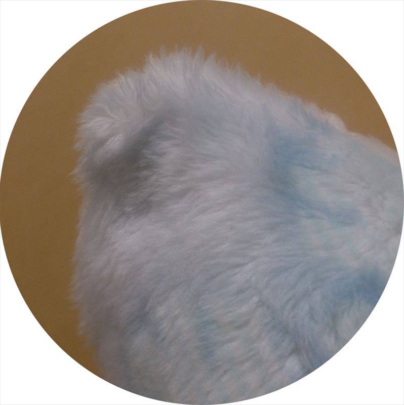 Idolish 7: Mafumofu Cushion Cover Mitsuki Izumi | HLJ.com