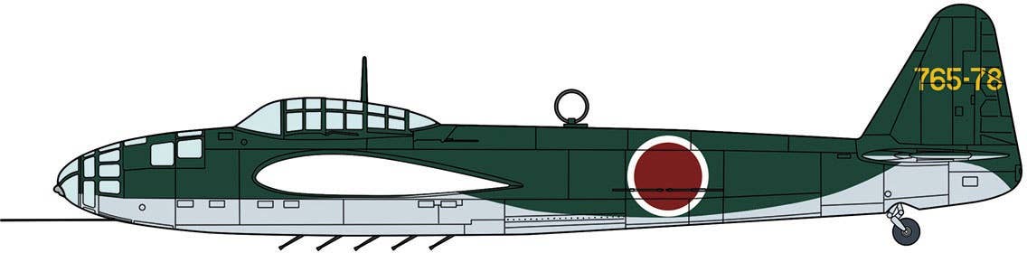 Kugisho P1Y1 Attack Bomber Ginga Type 11 "765th Flying Group Ground ...