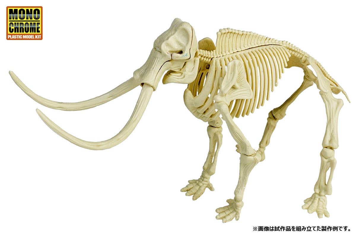 Dinosaur Fossil Excavation Model Mammoth | HLJ.com