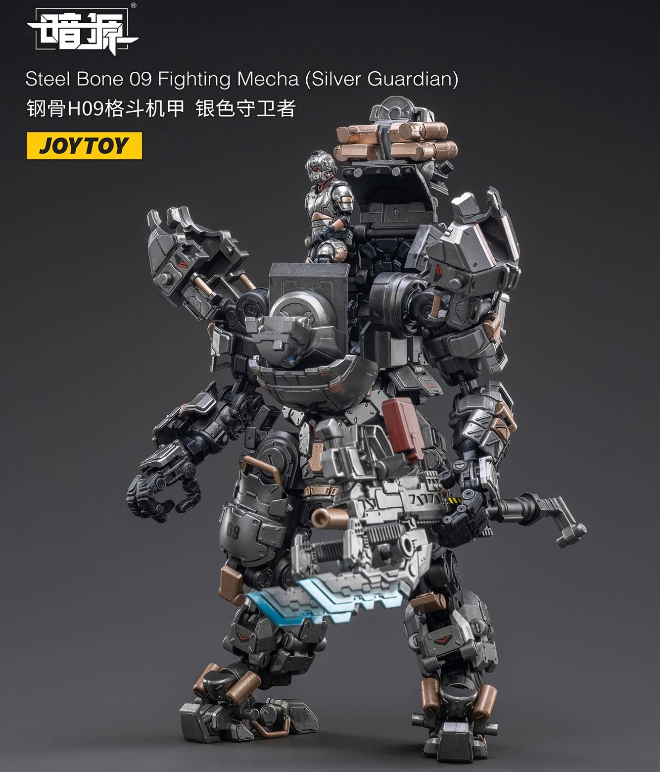 Dark Source Steelbone 09 Fighting Mecha Silver Guardian | HLJ.com