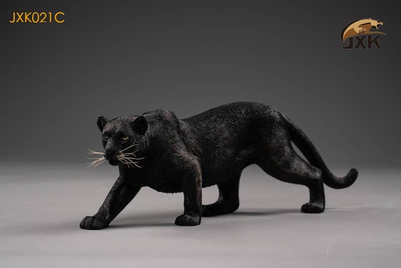JXK Studio Leopard Black C | HLJ.com