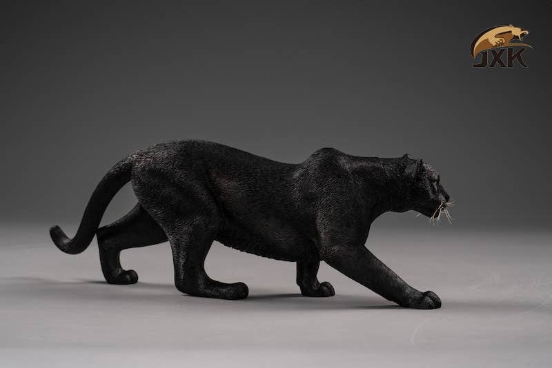 JXK Studio Leopard Black C | HLJ.com