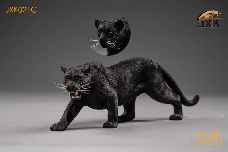 JXK Studio Leopard Black C | HLJ.com