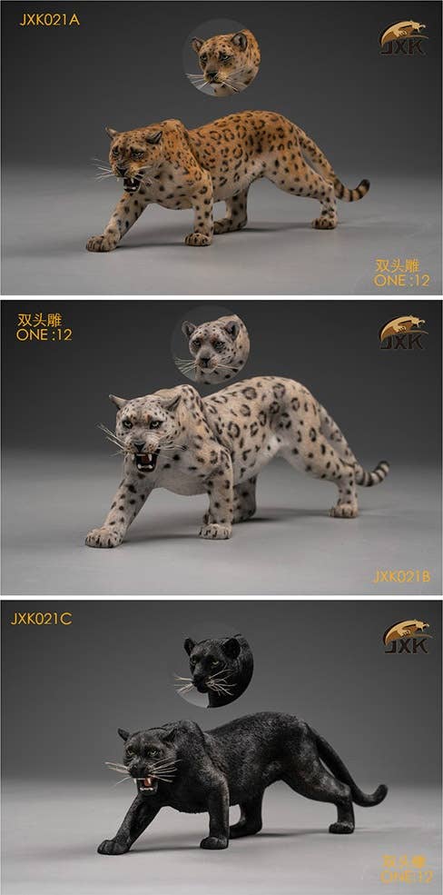 JXK Studio Leopard Black C | HLJ.com