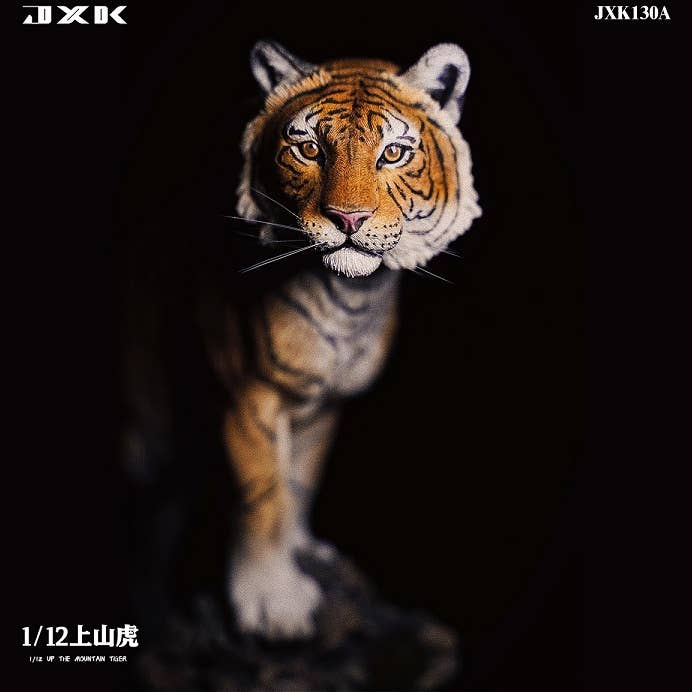 JXK-130A Up The Mountain Tiger (Normal A) | HLJ.com