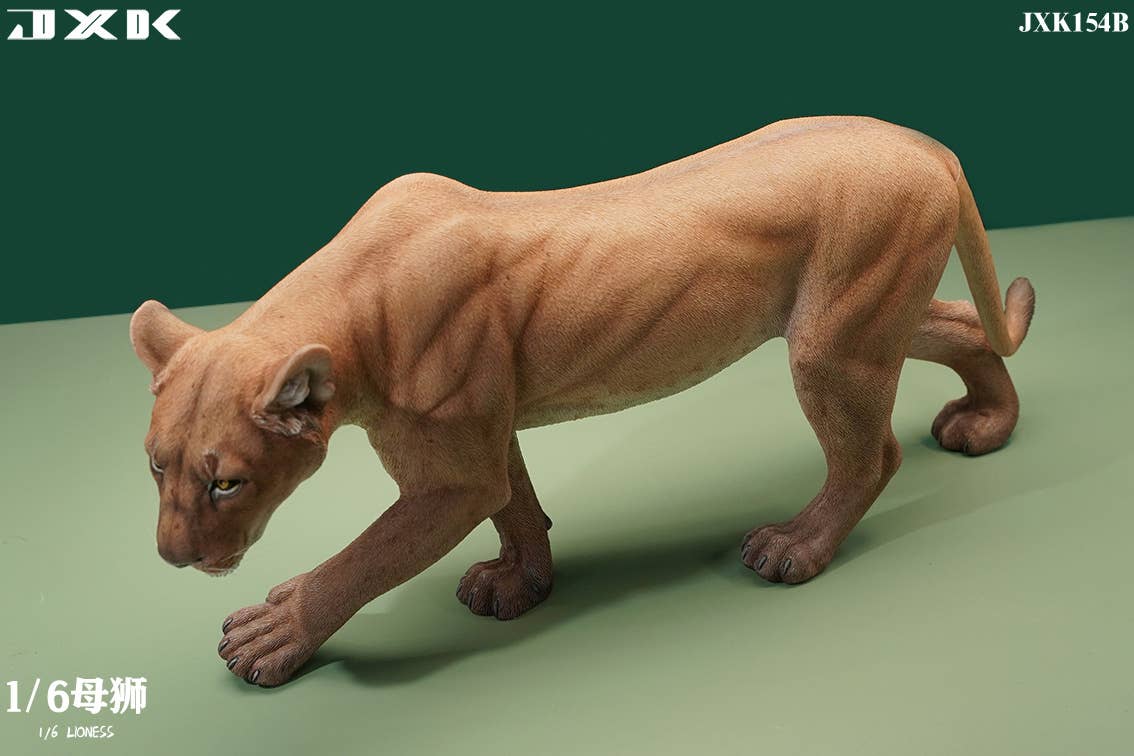 Lioness B | HLJ.com