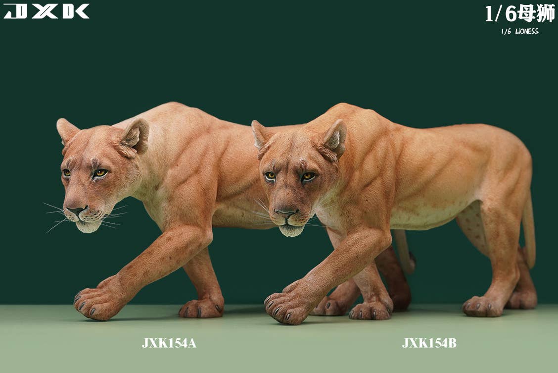 Lioness B | HLJ.com