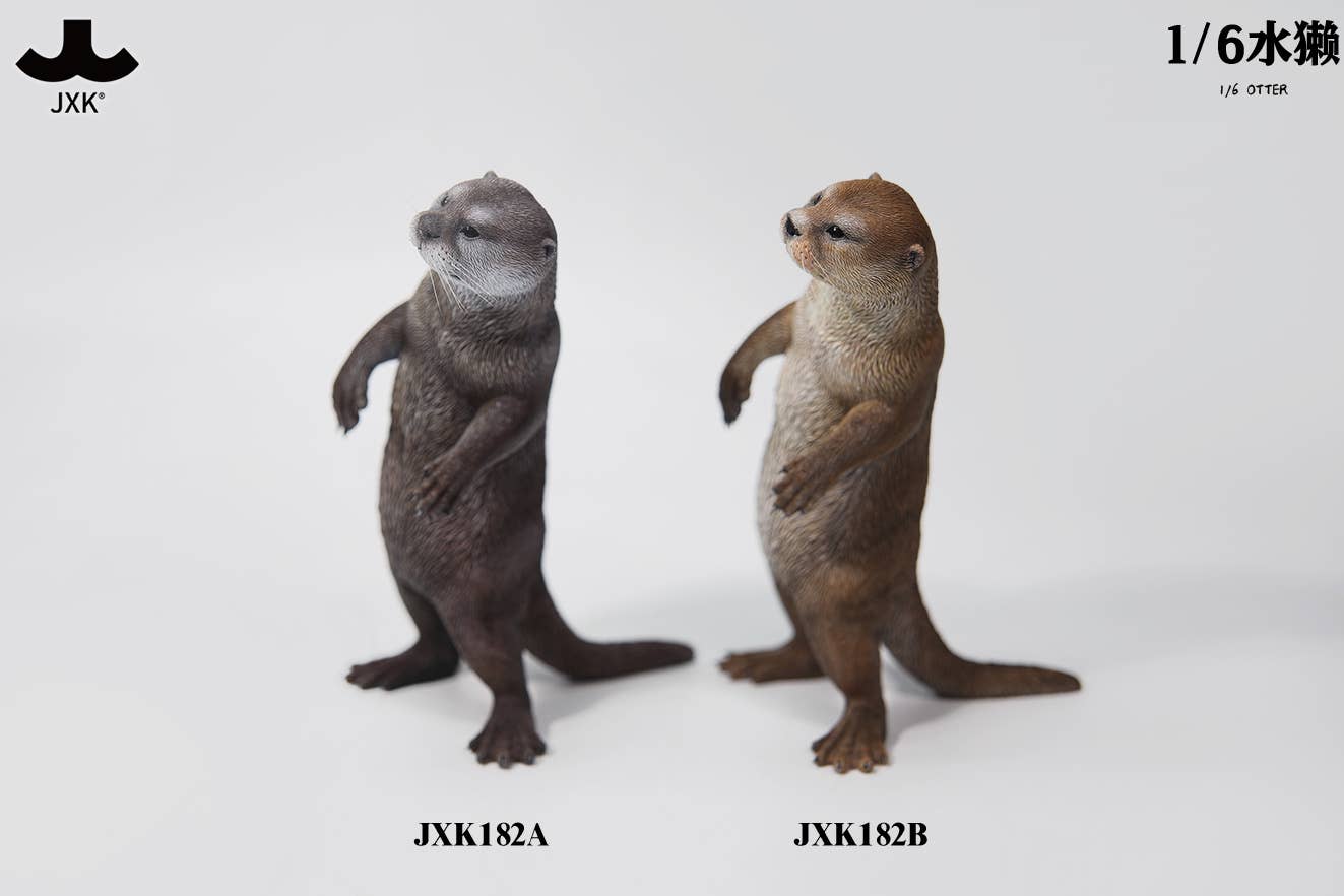 Otter A | HLJ.com