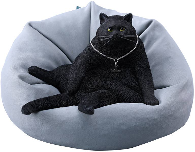 Tanking Cat B | HLJ.com